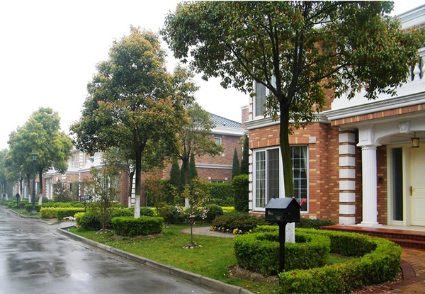 Housing: The Top 5 Villa Compounds in Pudong, Shanghai Guide | Maxview ...